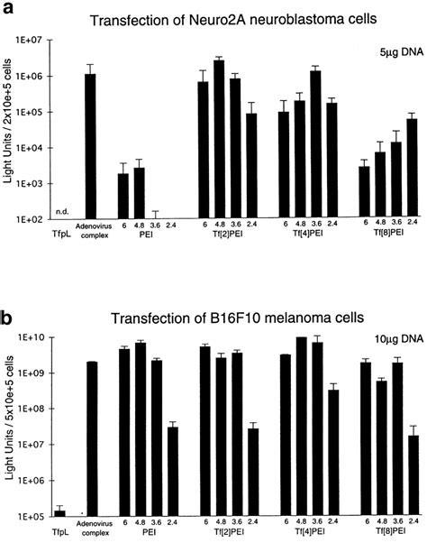 Transfection Efficiency Of PEI DNA And Transferrin PEI DNA Complexes On
