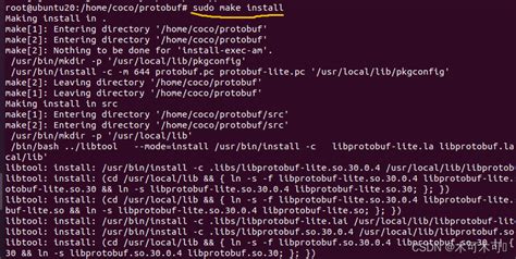 protobuf 安装教程 安装protobuf没有指定路径 csdn博客