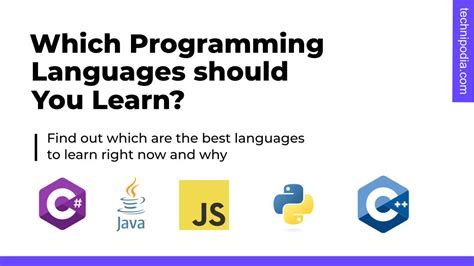 5 Best Programming Languages To Learn In 2022 For Beginners Technipodia