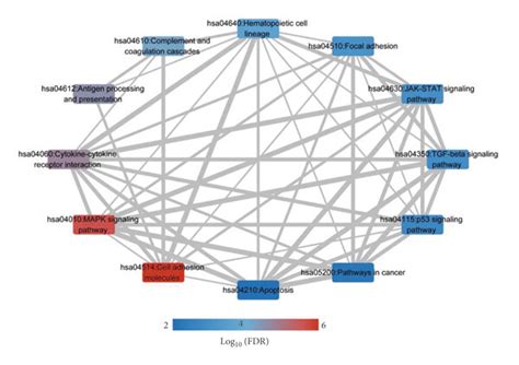 Through KEGG Signal Pathway Enrichment Analysis Of 686 Genes