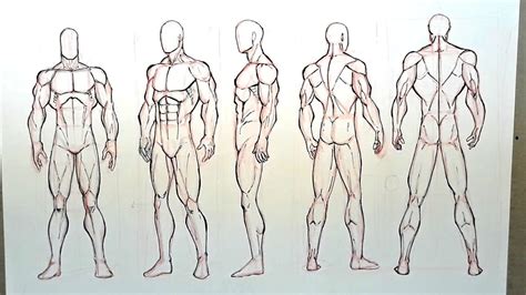 Anatomy Lesson 101 Youtube