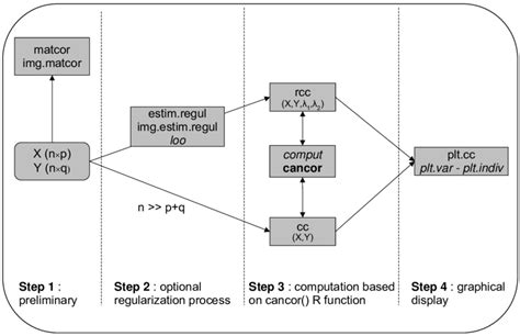 schematic view of the canonical correlation analysis process using cca download scientific