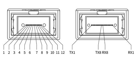 MTP MPO Cables All Basics You Need To Know EDGE Optical Solutions