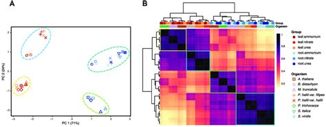 Global Patterns Of Gene Expression Across Eight Vascular Plants