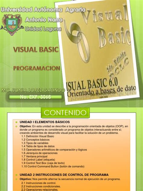 visual basic presentacion pdf básico objeto informática