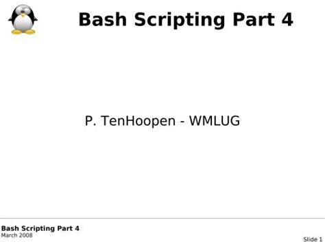 bash scripting pdf