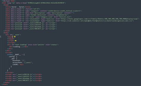 vue js error when trying to run a static app nuxt stack overflow