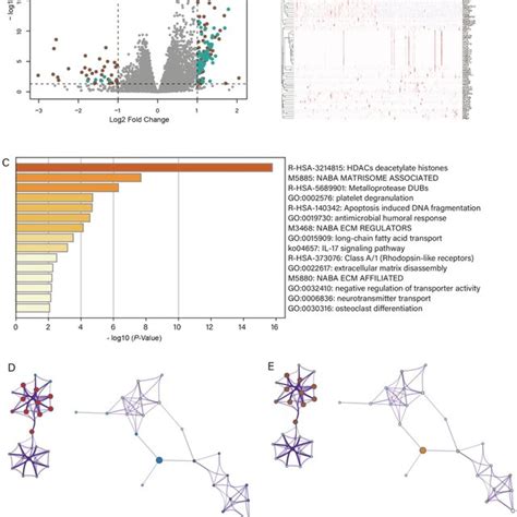 Differential Expression And Enrichment Analysis Volcano Plot Of