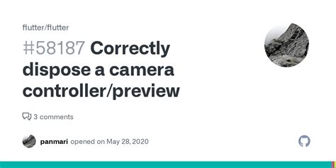 correctly dispose a camera controller preview · issue 58187 · flutter flutter · github
