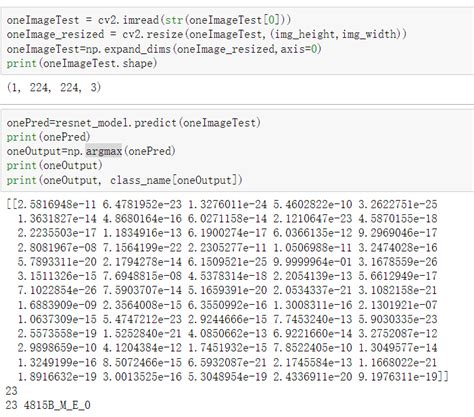 python valueerror input of layer resnet is incompatible with hot sex picture