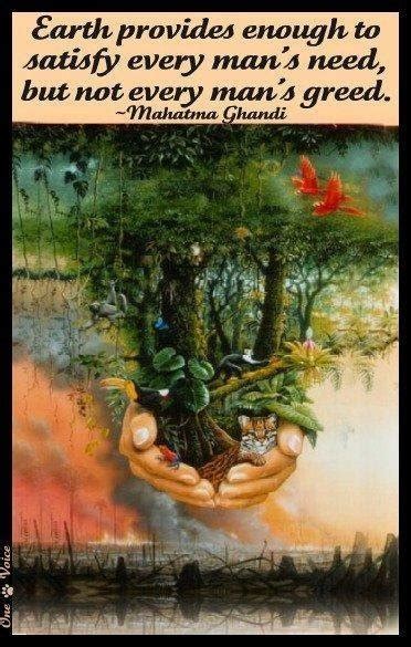 Earth Provides Enough To Satisfy Every Man S Need But Not Every Man S
