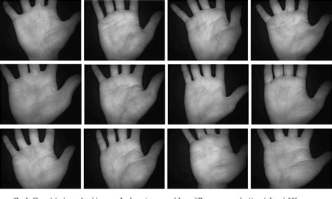 figure 2 from palm vein recognition using adaptive gabor filter semantic scholar