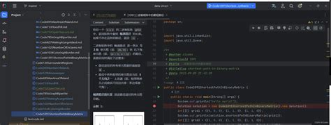 【for lovelier】idea leetcode editor 最佳实践 leetcode editor csdn博客