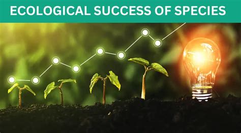 What Is Ecology Definition Types Importance Examples Of 47 OFF