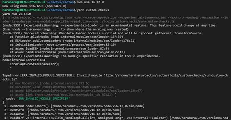 Fix Custom Checks Script From Package Json Does Not Work Issue 1809
