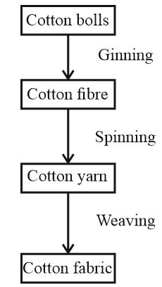 Make A Flowchart Showing The Process Of Getting Fabric From The Cotton