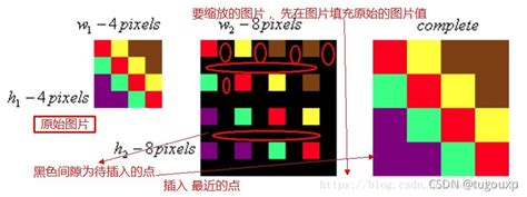 用最近邻插值 nearest neighbor interpolation 进行图片缩放 用近邻插值法实现图像缩放 csdn博客