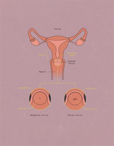 An Ode To My Pubic Hair The Fornix Flex