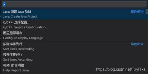 vs code 配置java c cpp compile run run in external terminal csdn博客