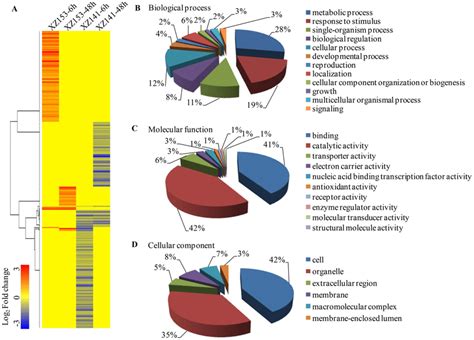 hierarchical cluster and gene ontology go categories analysis of download scientific diagram