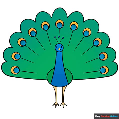 How To Draw An Easy Peacock Really Easy Drawing Tutorial