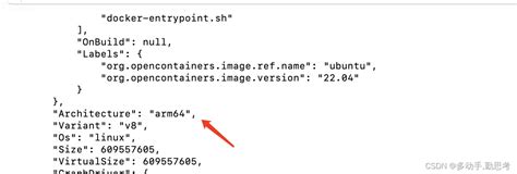 Troubleshooting Standard Init Linux Go 228 Exec User Process Caused