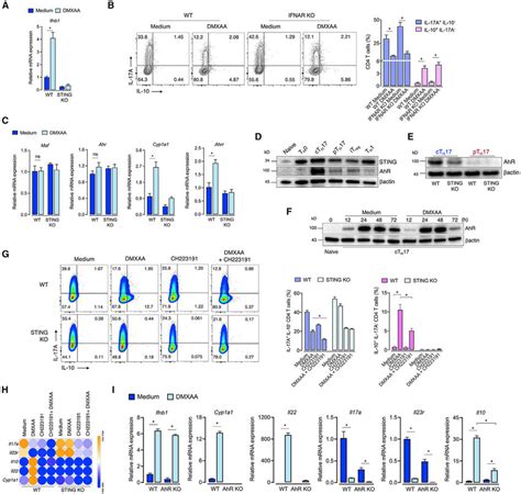 STING Mediated IL 10 Expression In T H 17 Cells Is Partially Dependent