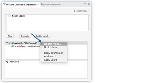 DataWeave Expression Watches MuleSoft Documentation
