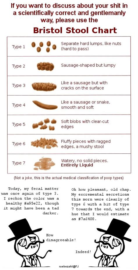 Cute Bristol Stool Chart Digital Pdf Printable Lab Poster Etsy Ireland