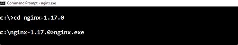 how to install nginx on windows javatpoint