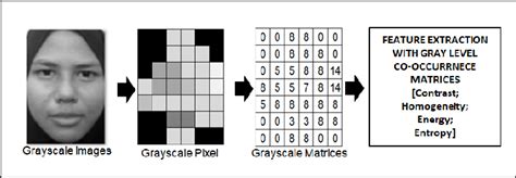 feature extraction process of facial image texture features download scientific diagram