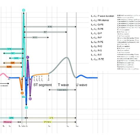 automatic feature extraction from ecg the abbreviations of ecg download scientific diagram
