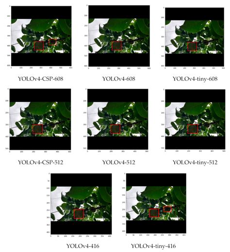 sensors free full text real time pear fruit detection and counting using yolov4 models and
