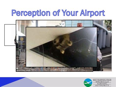 Customer Service Whos Responsible Ppt Download