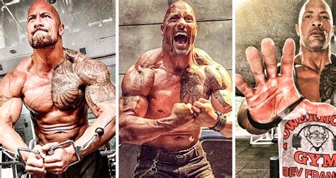 Arnold Schwarzenegger Vs The Rock