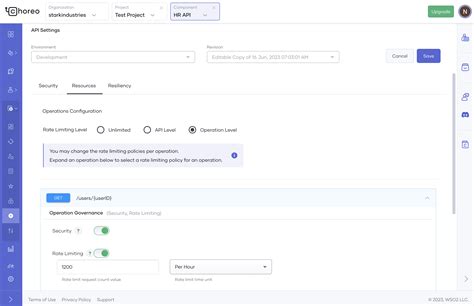 api rate limiting