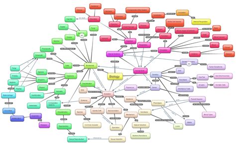 Concept Map Digestive System Garmentmoms