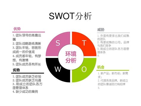 团队swot分析 word文档在线阅读与下载 无忧文档