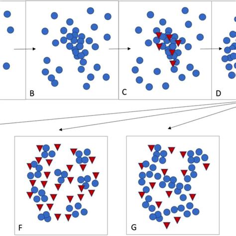 schematic example of reaction diffusion systems blue circles are download scientific diagram