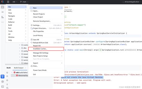 Idea SpringBoot启动时报错Could not create the Java Virtual Machine 创建