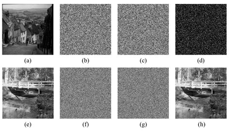 electronics free full text a novel image encryption algorithm based on multiple random dna