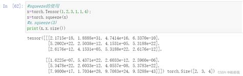 pytorch学习笔记（1） tensor中 un squeeze函数的使用方法 unsequence 1 csdn博客