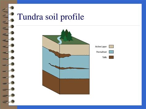 Arctic Tundra Soil Layers