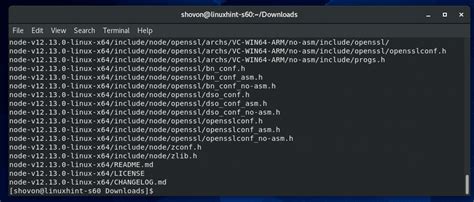 Installing Node Js On Centos Onet Idc
