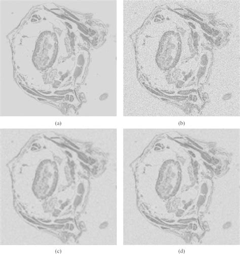 comparison of the difference and interpolation wavelet methods a download scientific diagram
