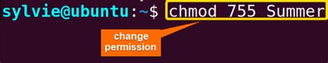 How To Change Permissions Of All Files In A Folder In Linux