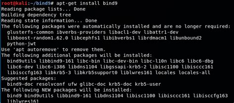 Network Basics For Hackers Domain Name Service DNS And BIND How It