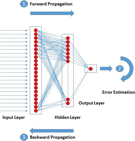 formation of bp ann algorithm with one hidden layer [45] download scientific diagram