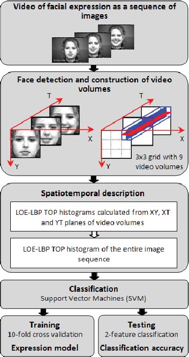 figure 1 from facial expression classification based on local spatiotemporal edge and texture