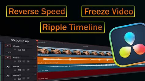 How To Change Speed In DaVinci Resolve Freeze Reverse Speed